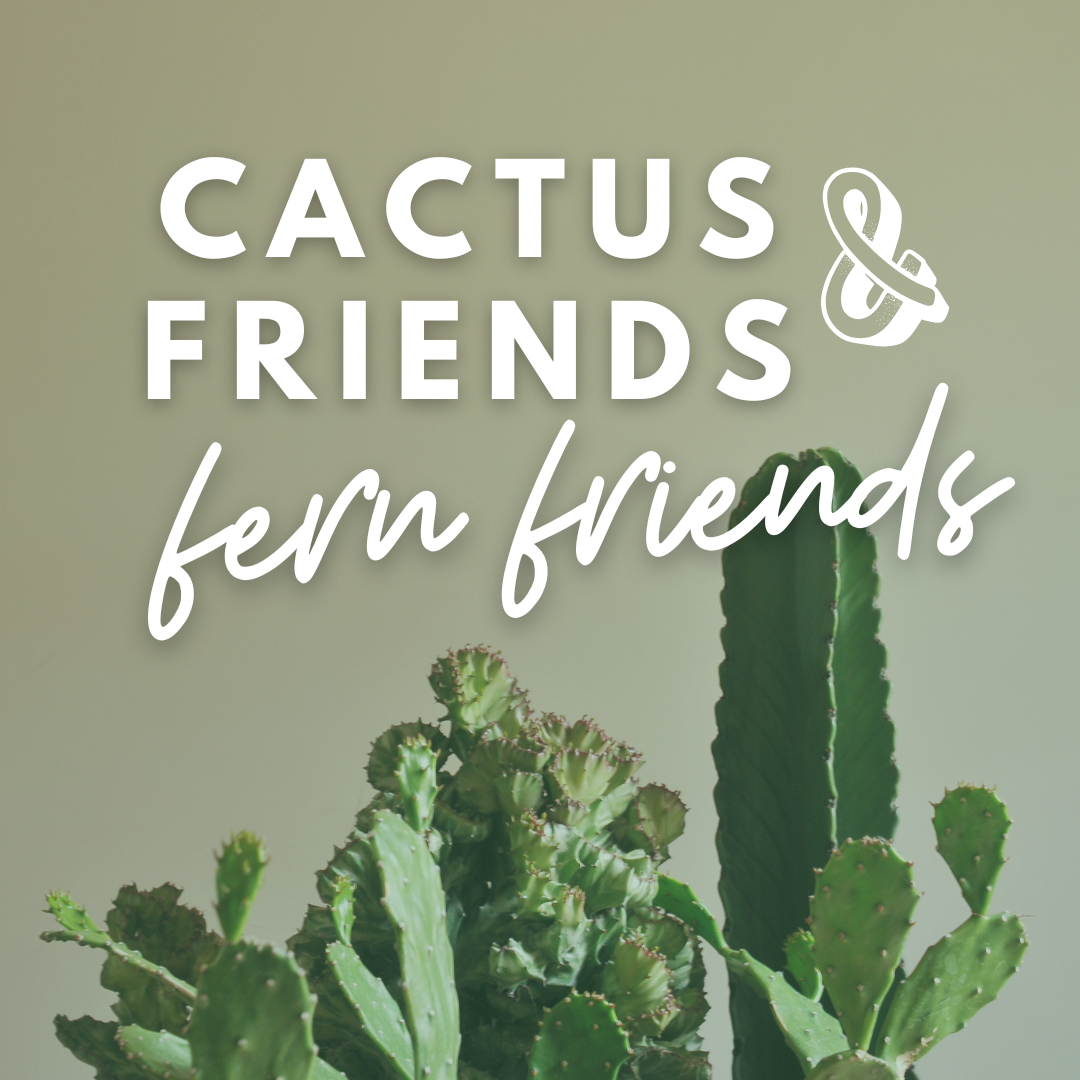 🌵 Cactus Friends & Fern Friends 🌿 – Caitlin Teed